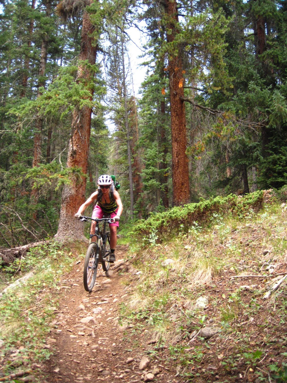 Monarch Crest Mountain Biking | Irwin Guides