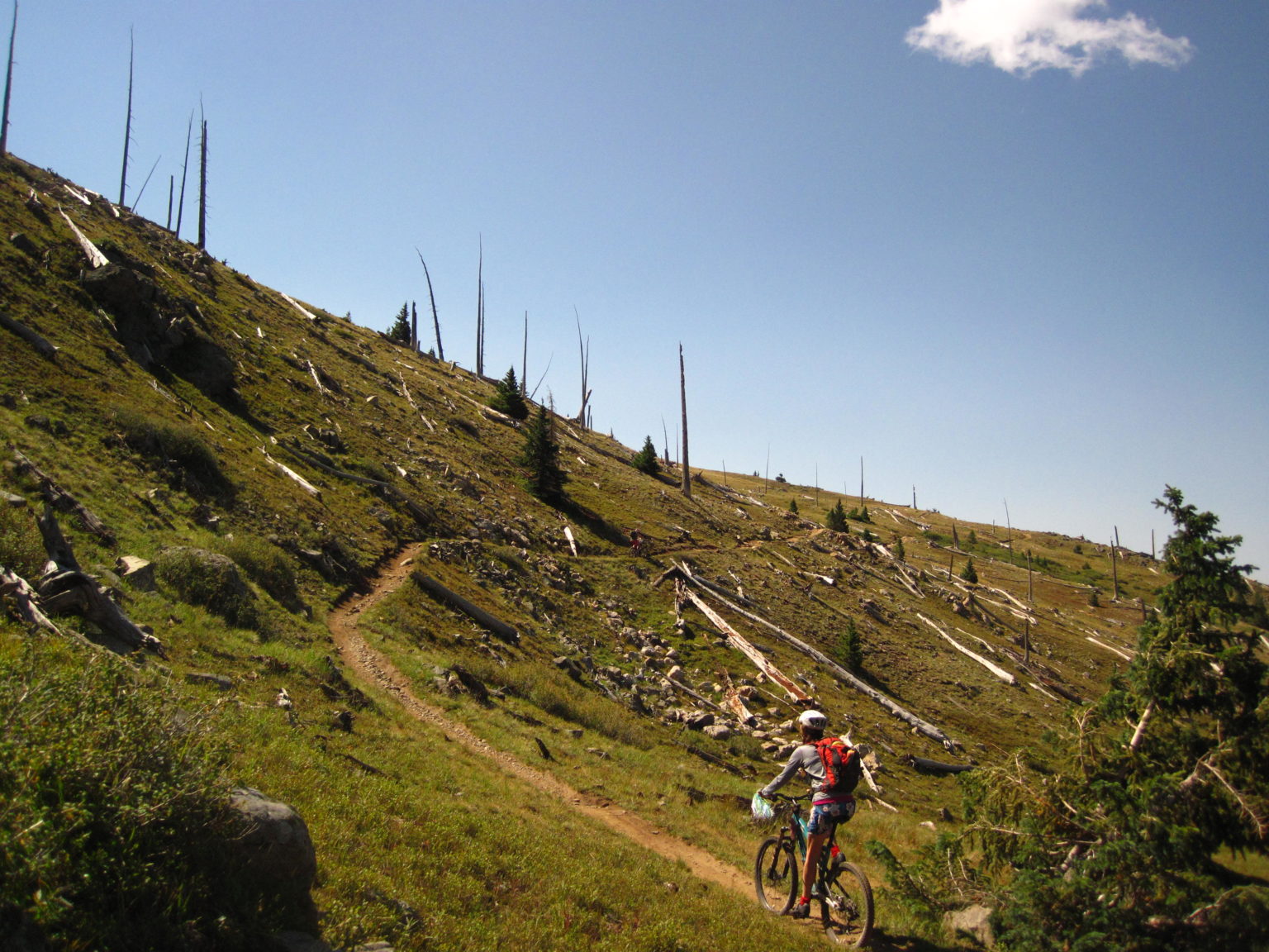 Monarch Crest Mountain Biking | Irwin Guides