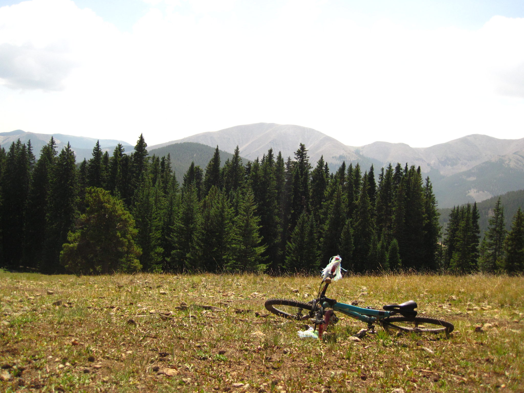 Monarch Crest Mountain Biking | Irwin Guides